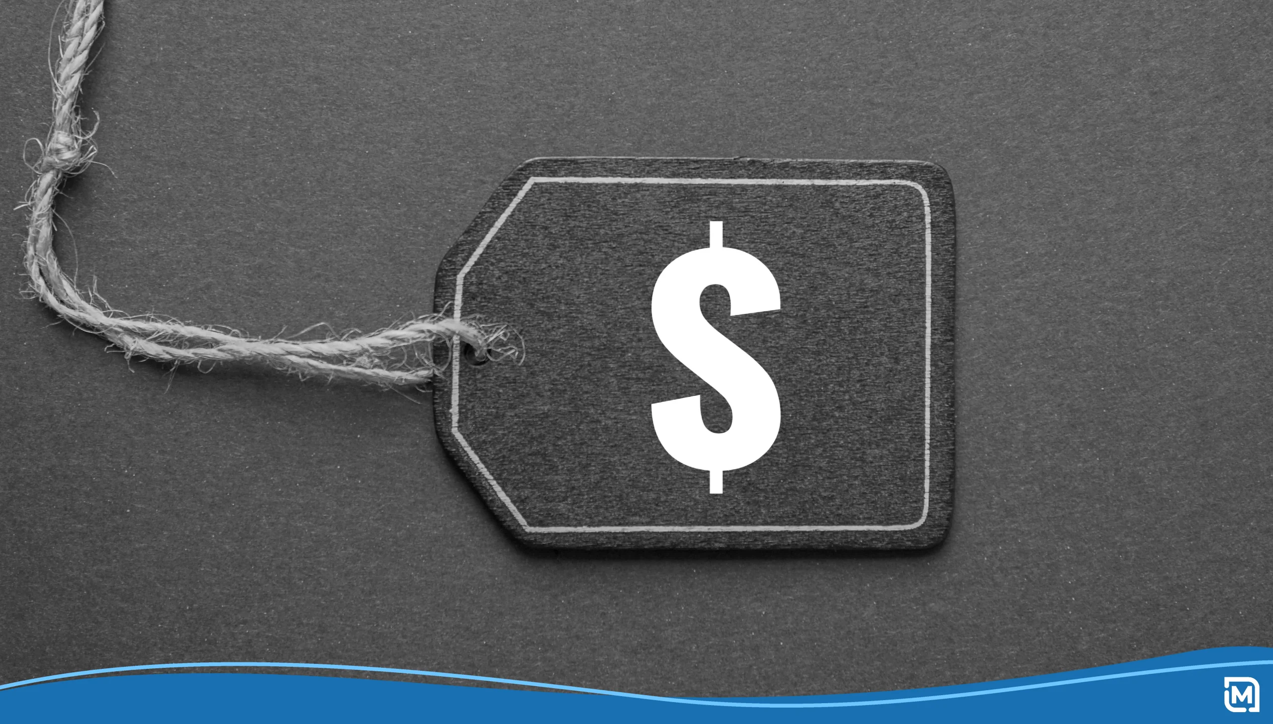 Logo Design Cost: How Much Does a Logo Cost in 2025